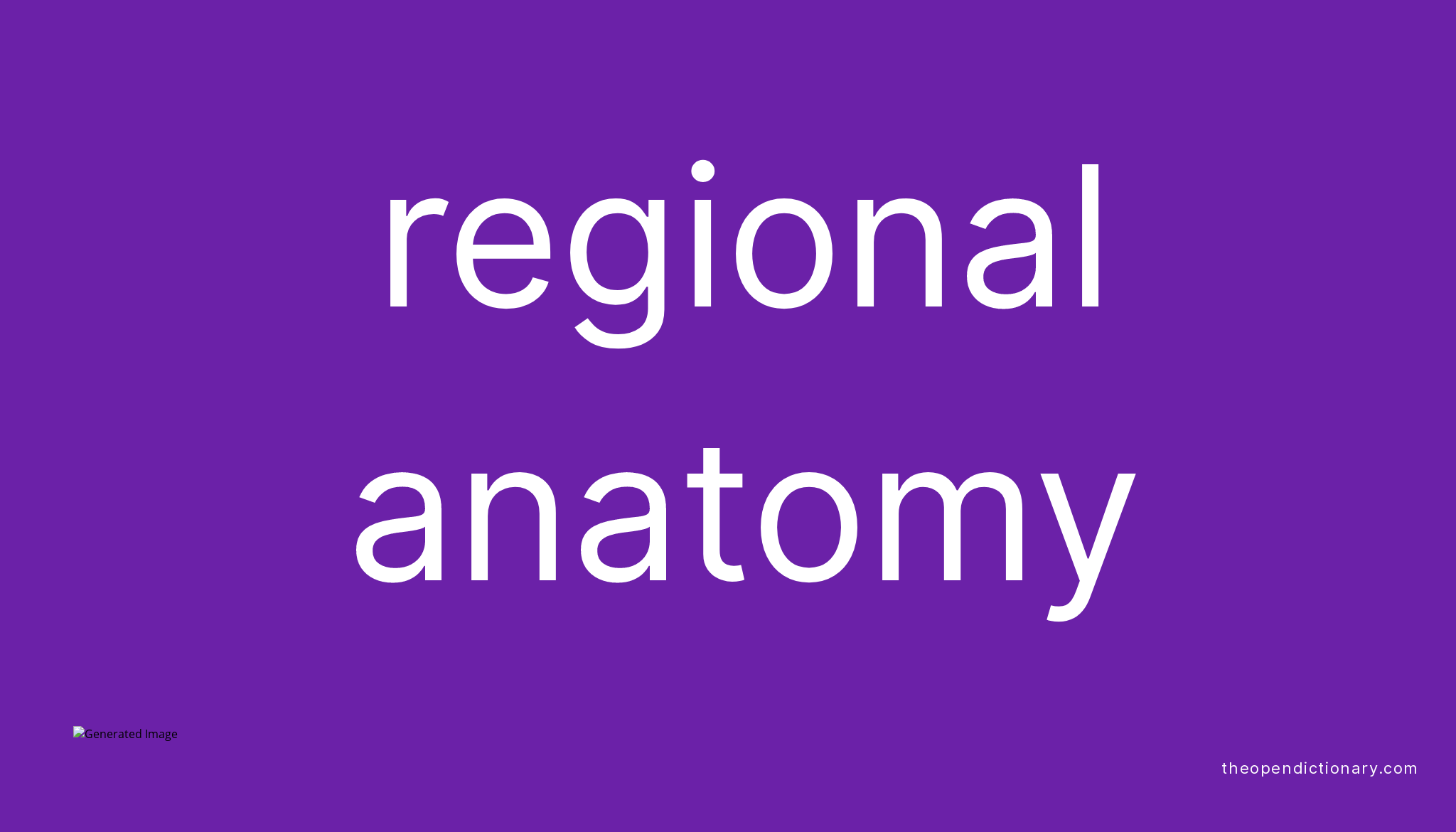 Regional Anatomy Meaning Of Regional Anatomy Definition Of Regional Regional Anatomy Meaning Of Regional Anatomy Definition Of Regional